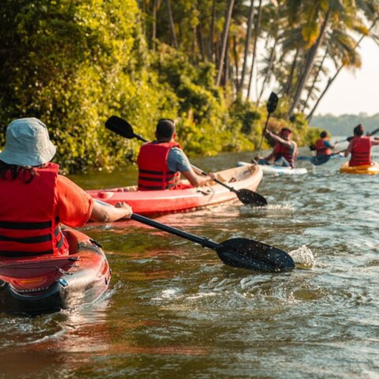 LetsGoa - Things to Do in Goa