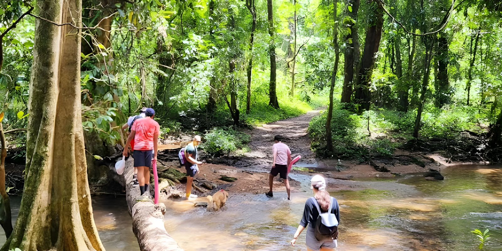 LetsGoa - Jungle Chill