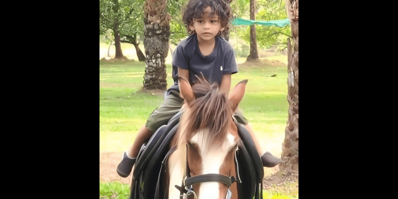 LetsGoa - Waterfall Trek & Horse Ride Goa | Nature Adventure Tour
