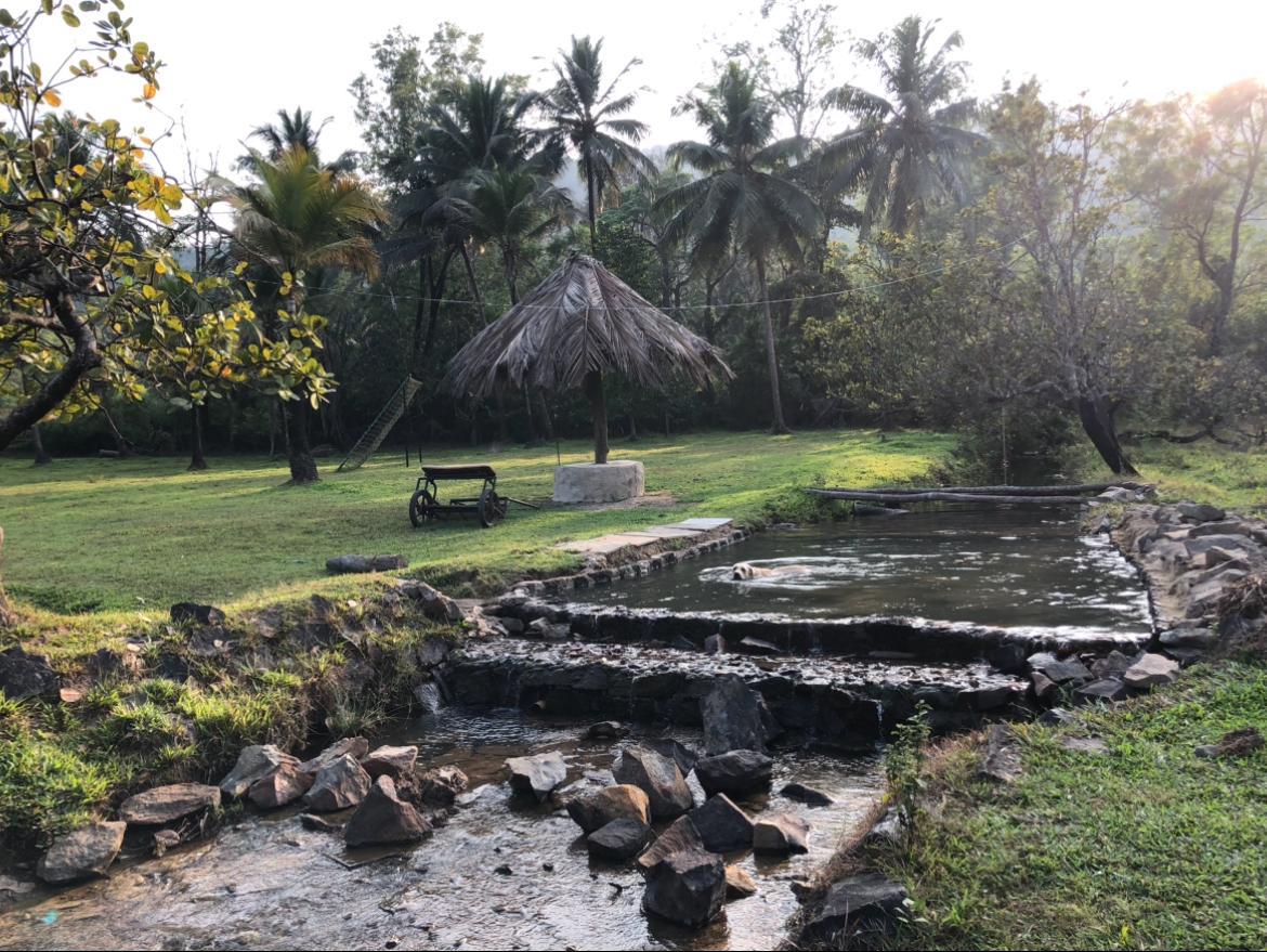 LetsGoa - Waterfall Trek & Horse Ride Goa | Nature Adventure Tour