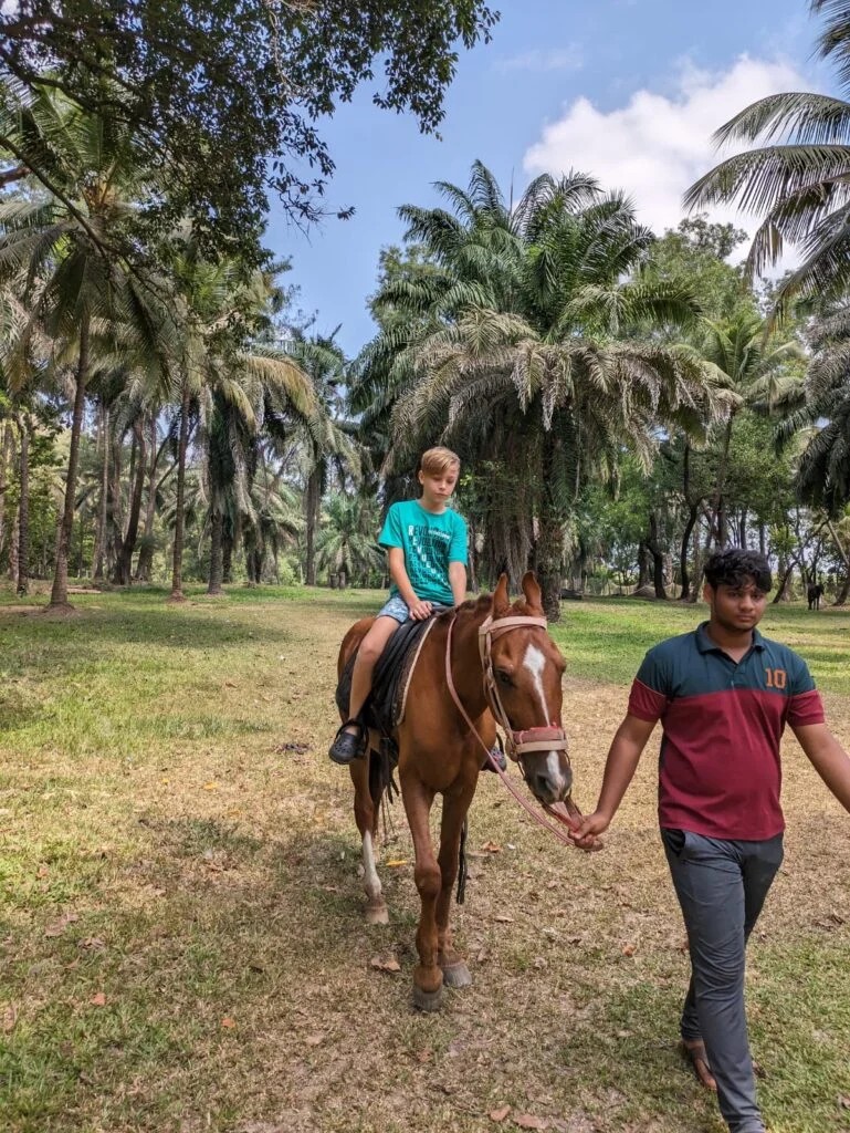 LetsGoa - Waterfall Trek & Horse Ride Goa | Nature Adventure Tour