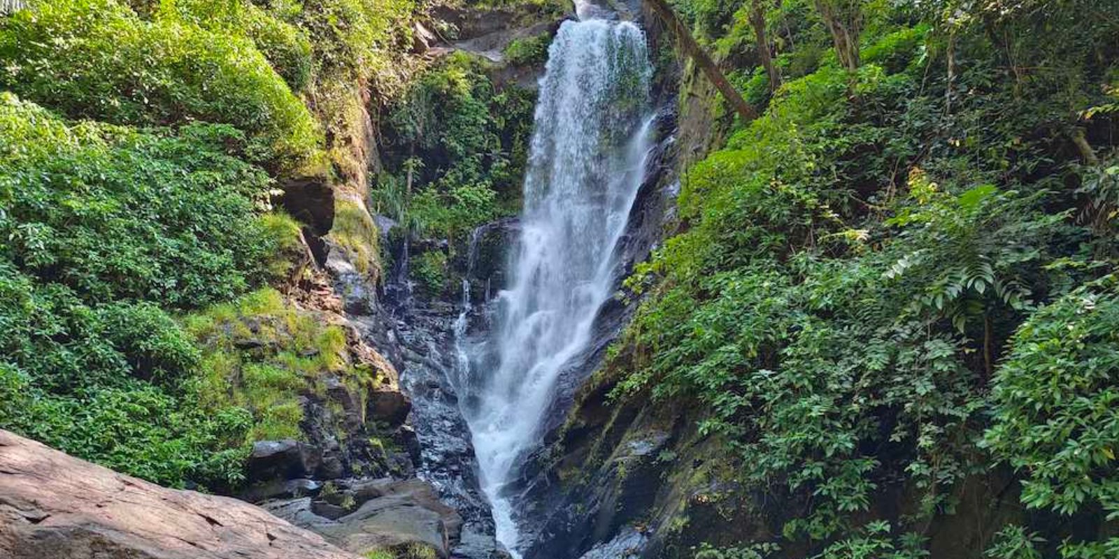 LetsGoa - Netravali Jeep Safari Goa | Explore Waterfalls & Wildlife
