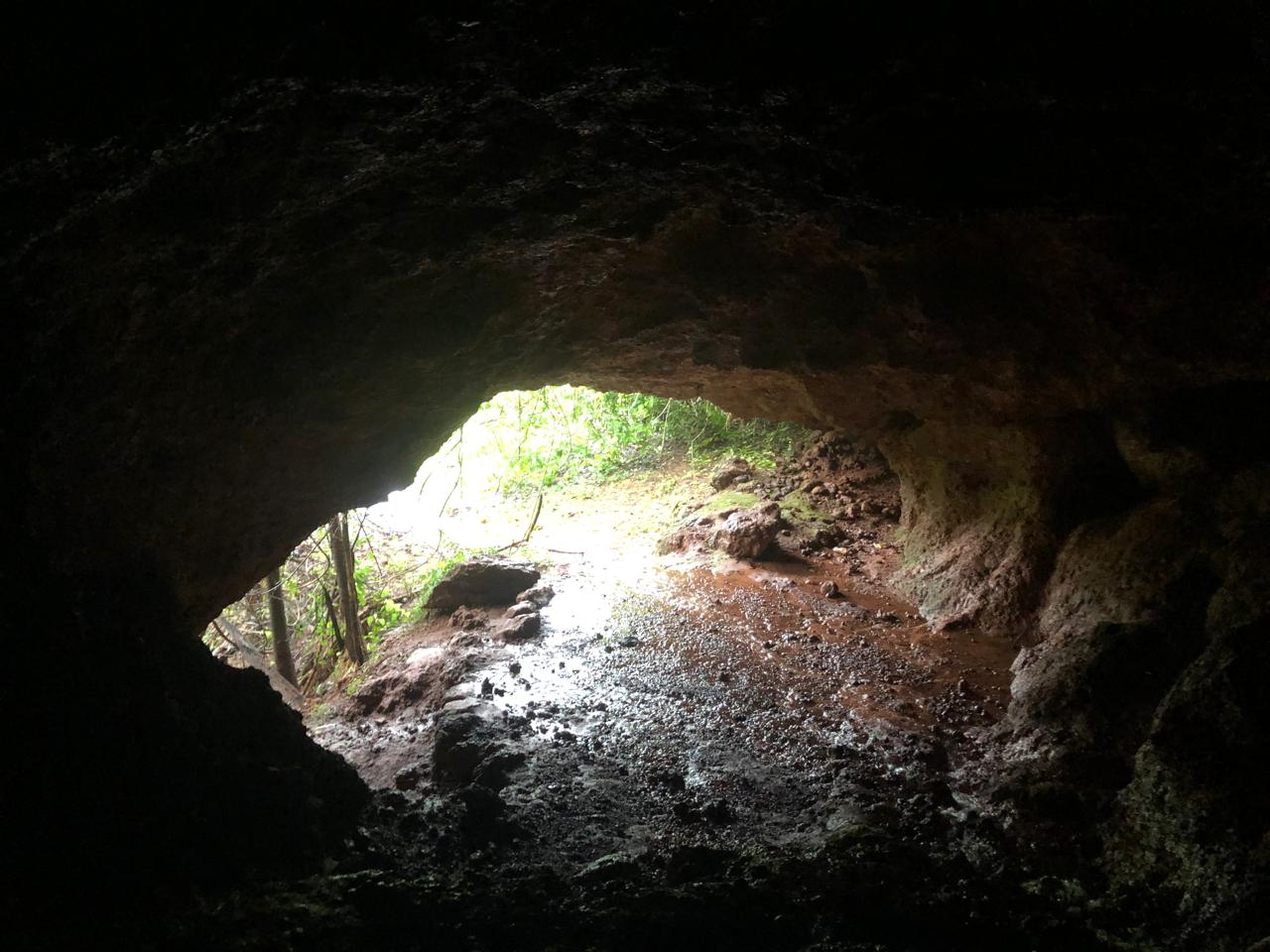 LetsGoa - Caves Waterfall Trek in Goa | Hidden Gem at Rivona Falls