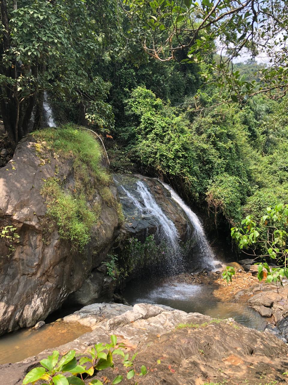LetsGoa - Caranzol Waterfall Trek in Goa | Nature Walk Adventure