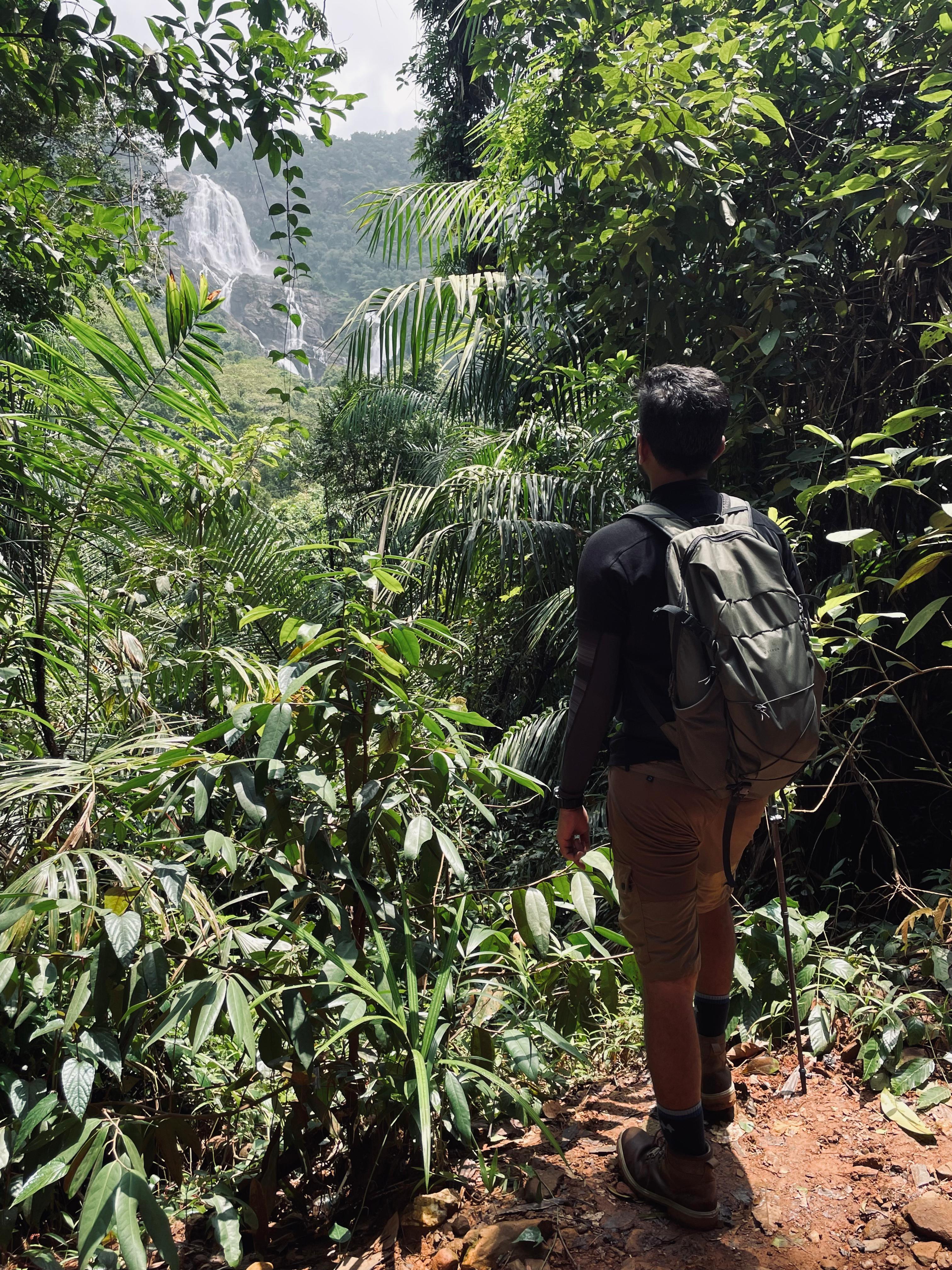 LetsGoa - Dudhsagar Waterfall Trek Goa | South Goa Guided Adventure
