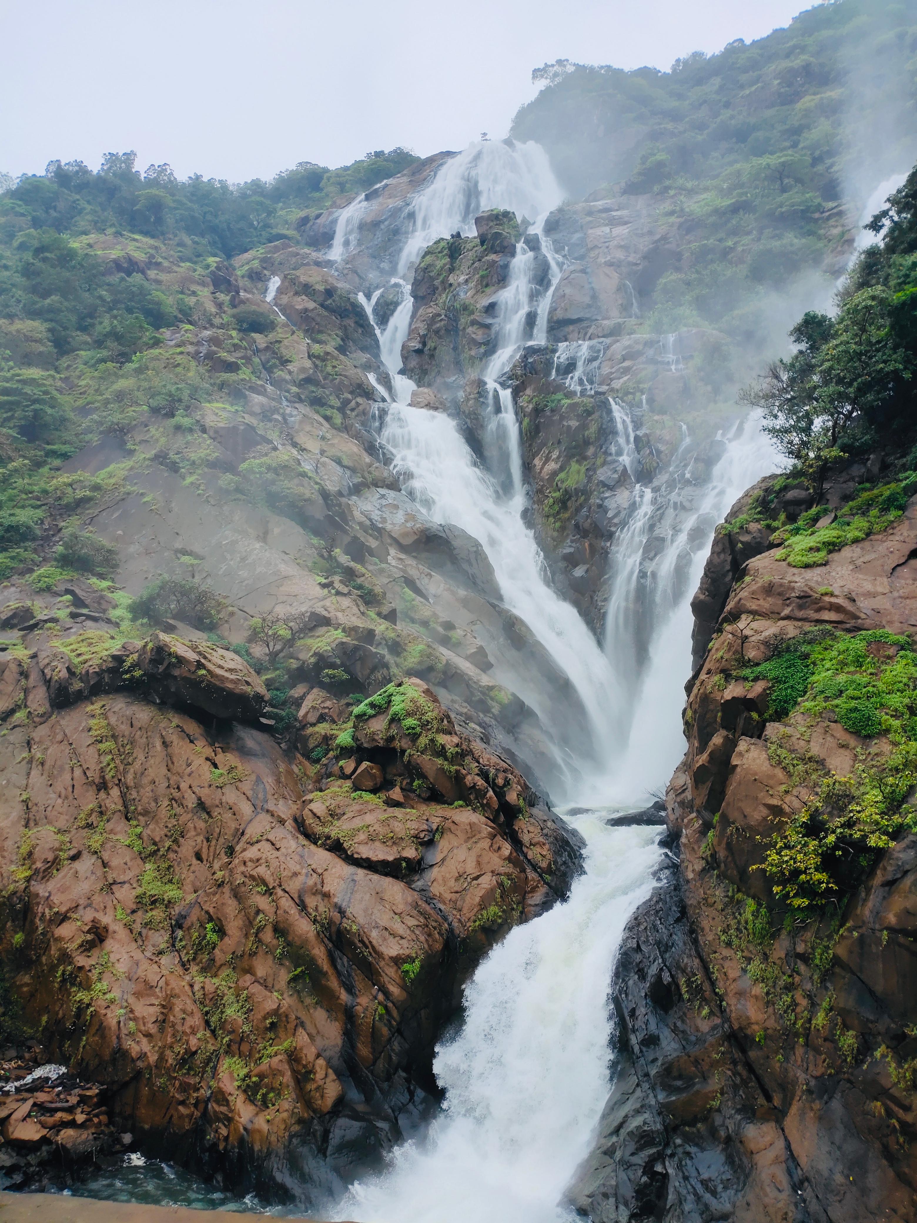 LetsGoa - Dudhsagar Waterfall Trek Goa | South Goa Guided Adventure