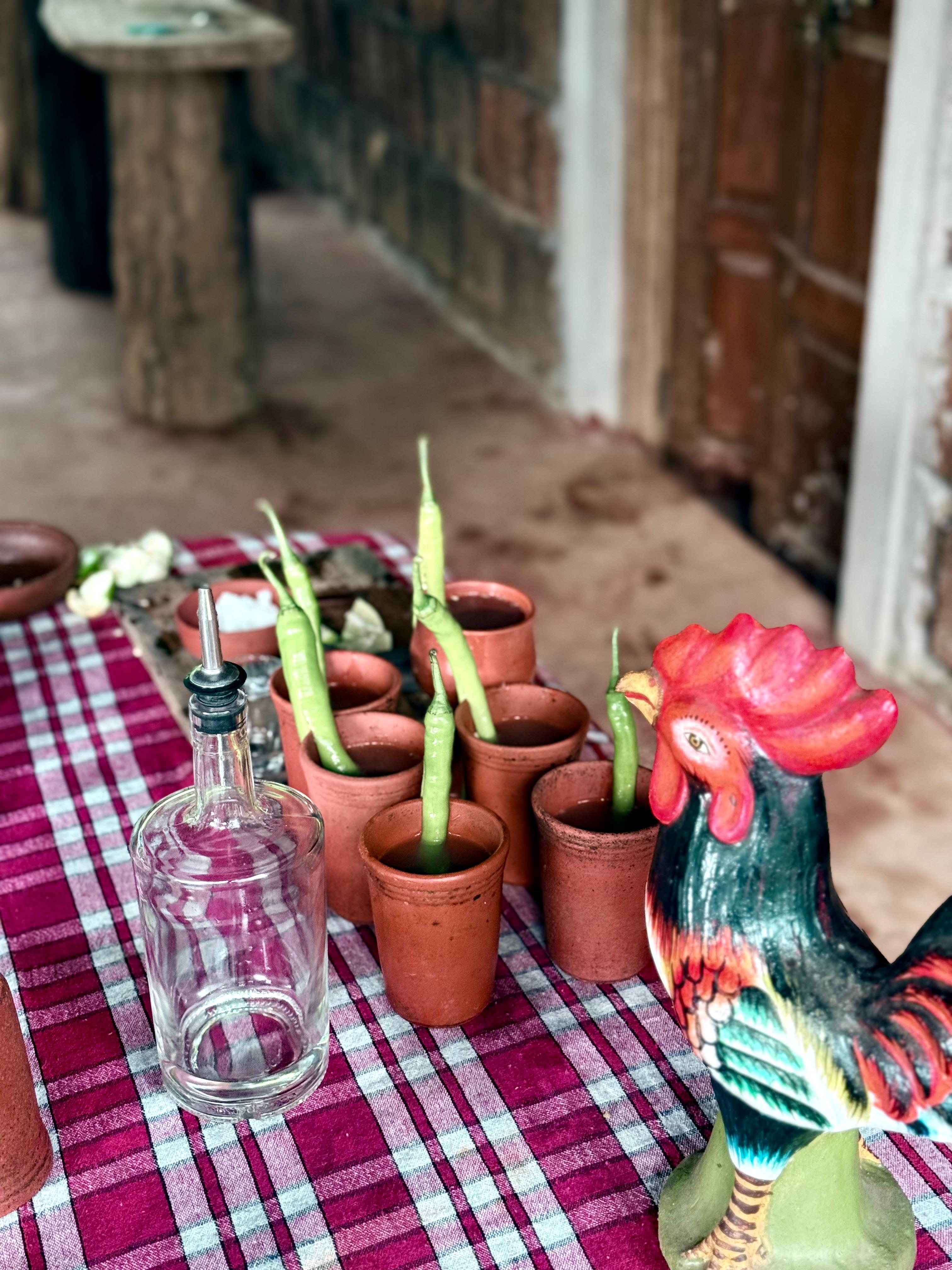LetsGoa - Day Out at Valpoi Waterfall | North Goa Trek & Nature Escape