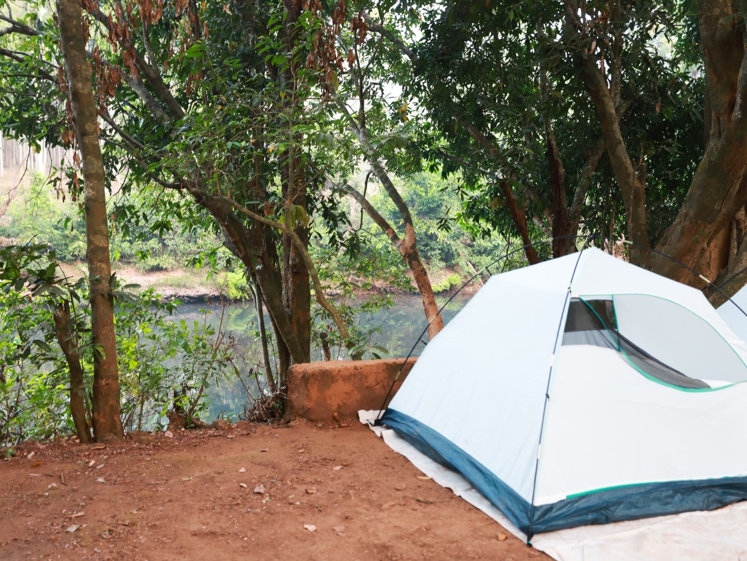 LetsGoa - Overnight Herping Trail in Goa | Forest Camping & BBQ Night