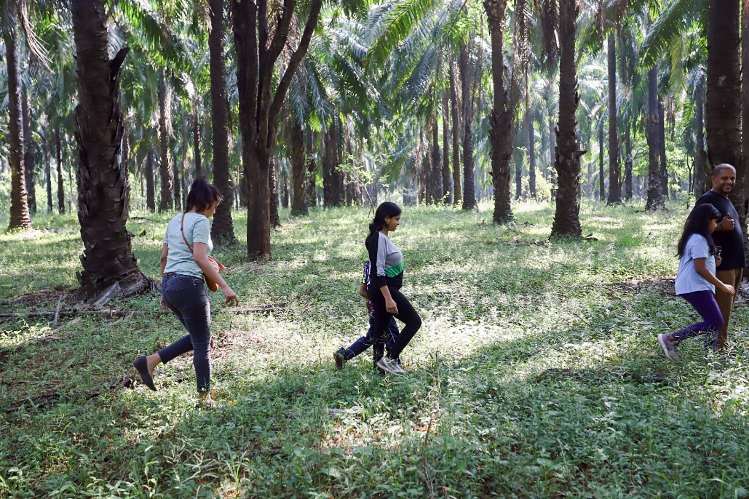LetsGoa - Forest & River Trail in Goa | Guided Trek with Goan Meals
