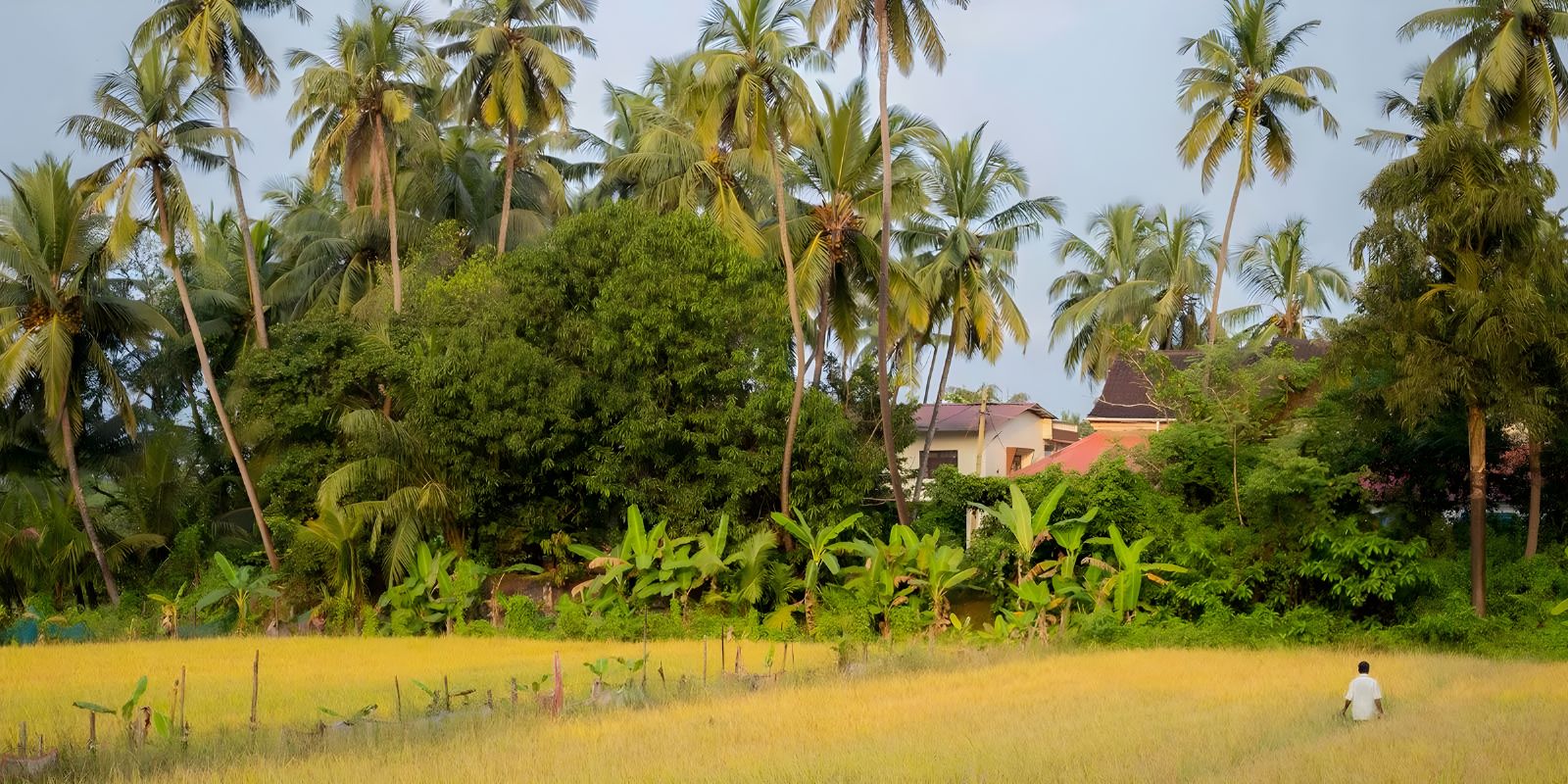 LetsGoa - Saligao Village Walk Goa | Explore Local Culture & Heritage