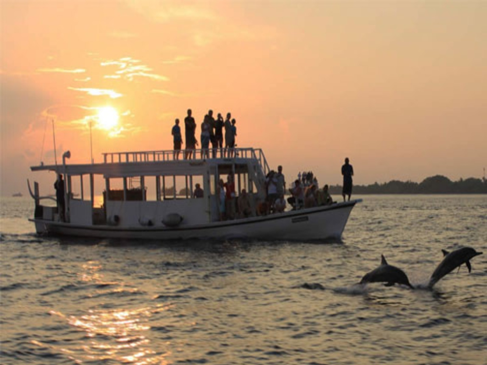 LetsGoa - Dolphin Spotting Coco Beach North Goa Scenic Boat Tour