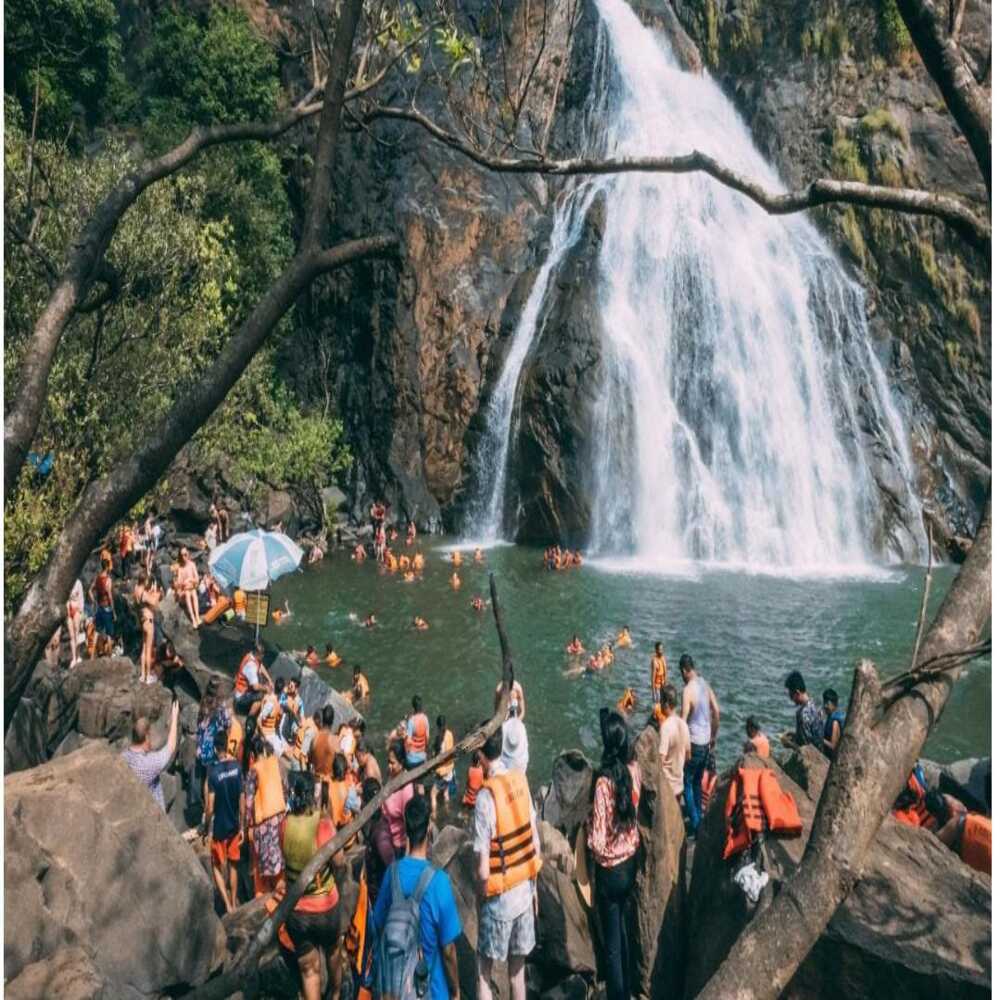 LetsGoa - South Goa Dudhsagar Waterfall with Bondla Wildlife Experience